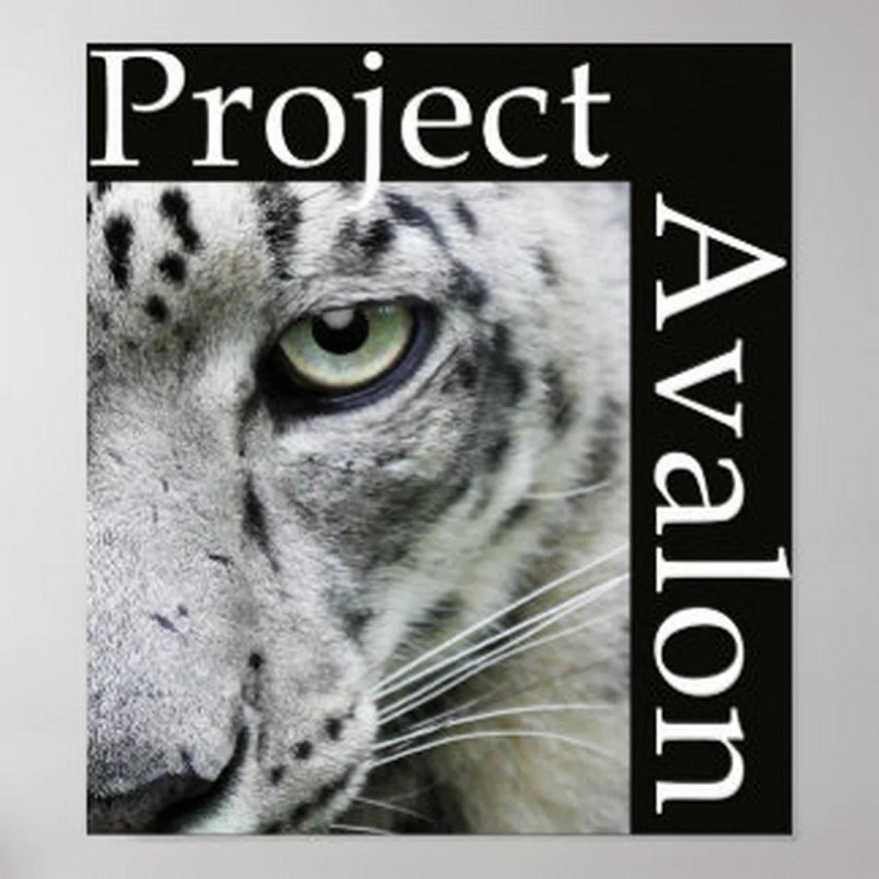 Bill Ryan's commentary on the Rulers of the World interview - AlphaZebra Project Avalon Jan 10, 2011