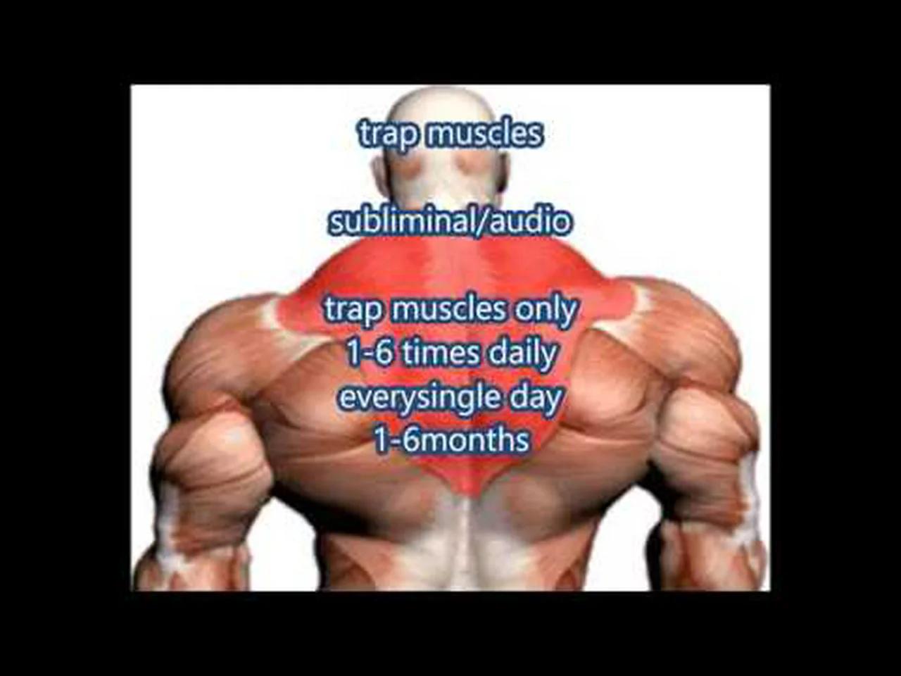 trap muscles-extremely powerful