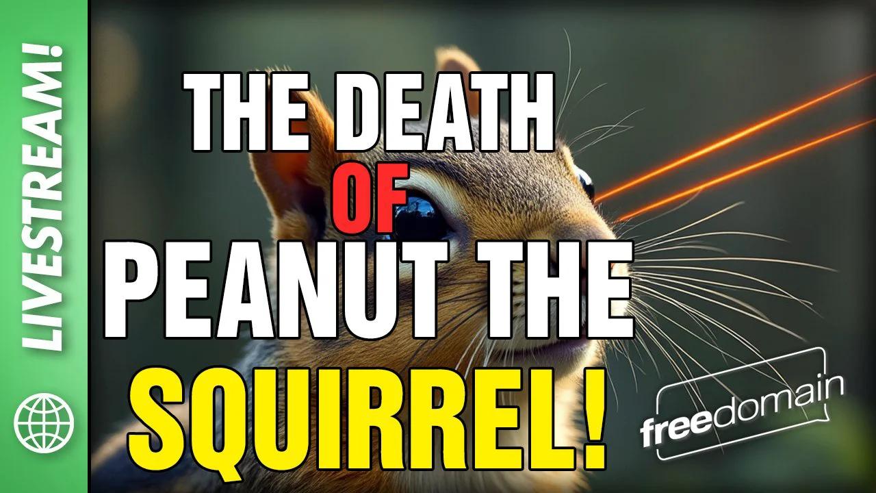 The Death of Peanut the Squirrel! (Audio)