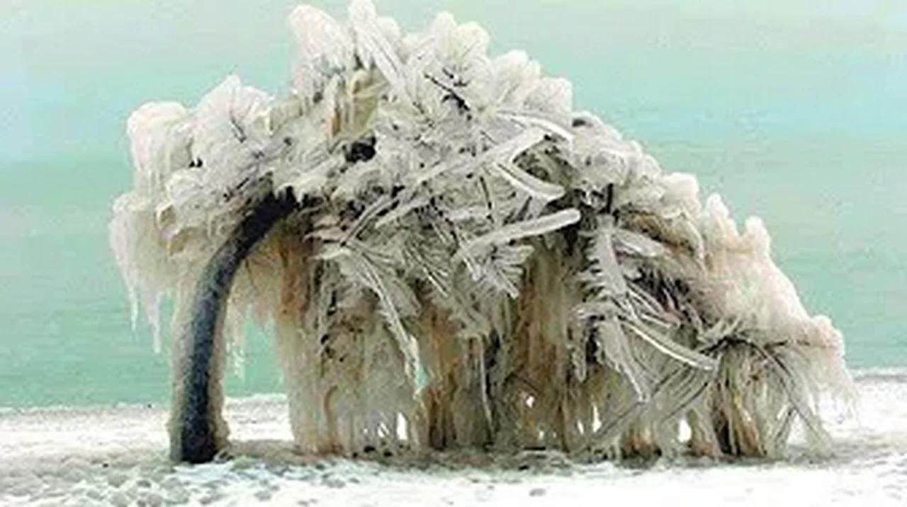 (MIAC #134) Natures Signs that Global Climate has Shifted and a New Era ...