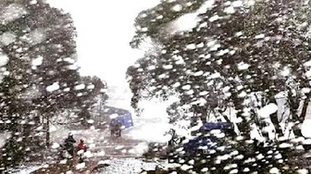 Crop Losses, World Record Hail & Freak Storms Globally | Mini Ice Age ...