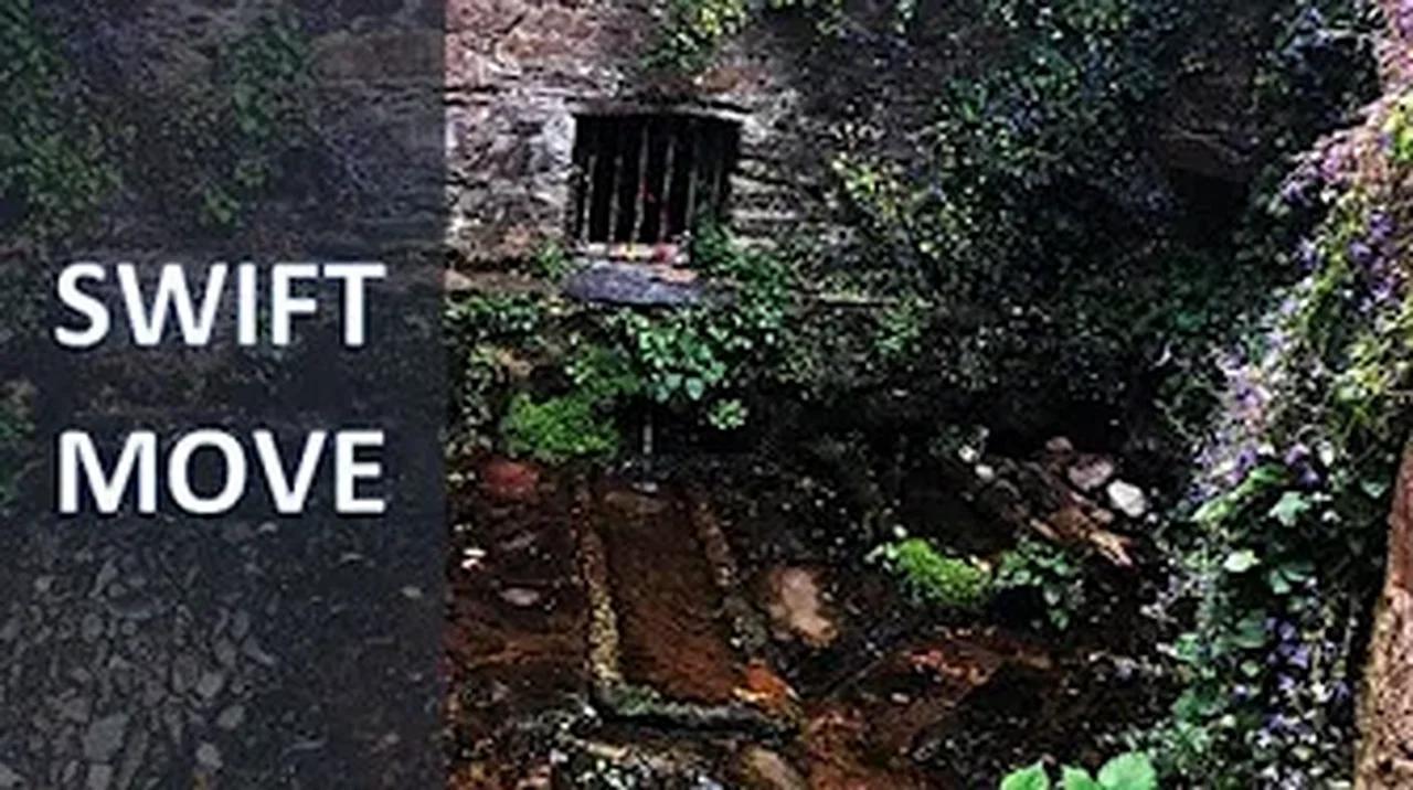 Swift Change Preps (Seven Days)