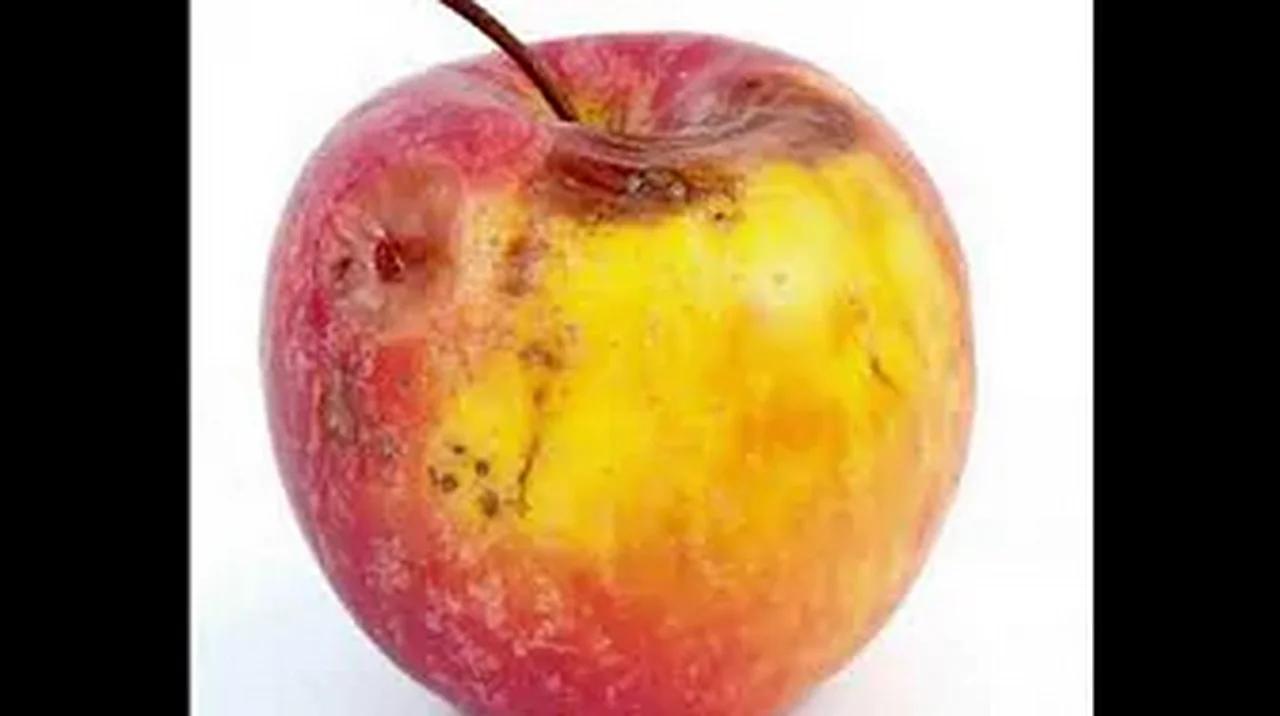 bad apple , but its really bad apple