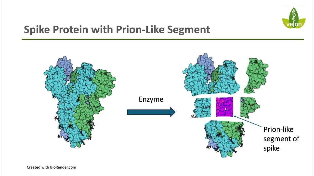 Vejon Health - Can Spike Protein Trigger a Mad Cow Disease Mimic?