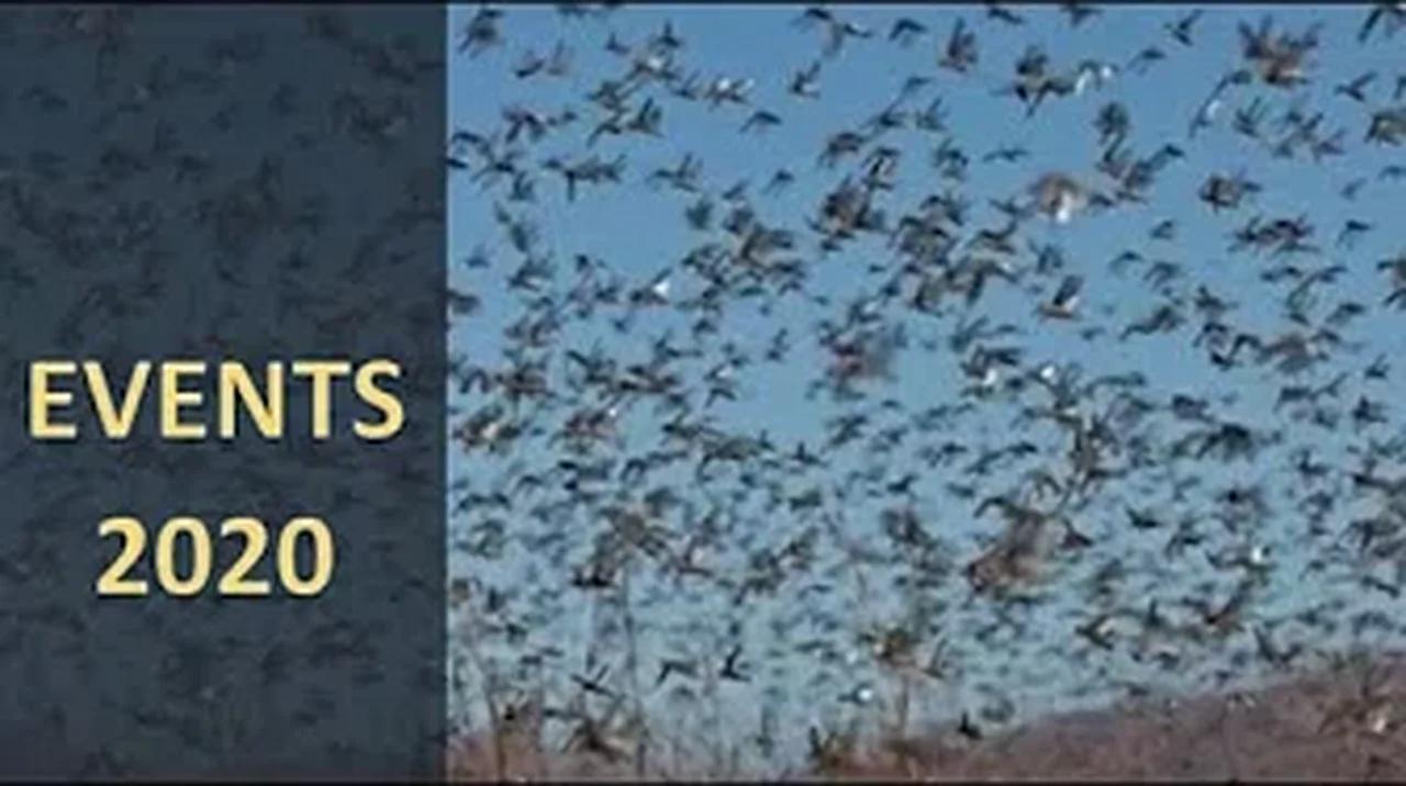 Strange Events Happening Across Our Planet (1004)