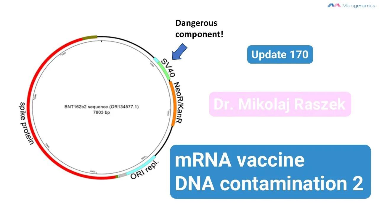 Merogenomics - Peer-reviewed evidence: Pfizer mRNA vaccines contain DNA contamination (update #170)