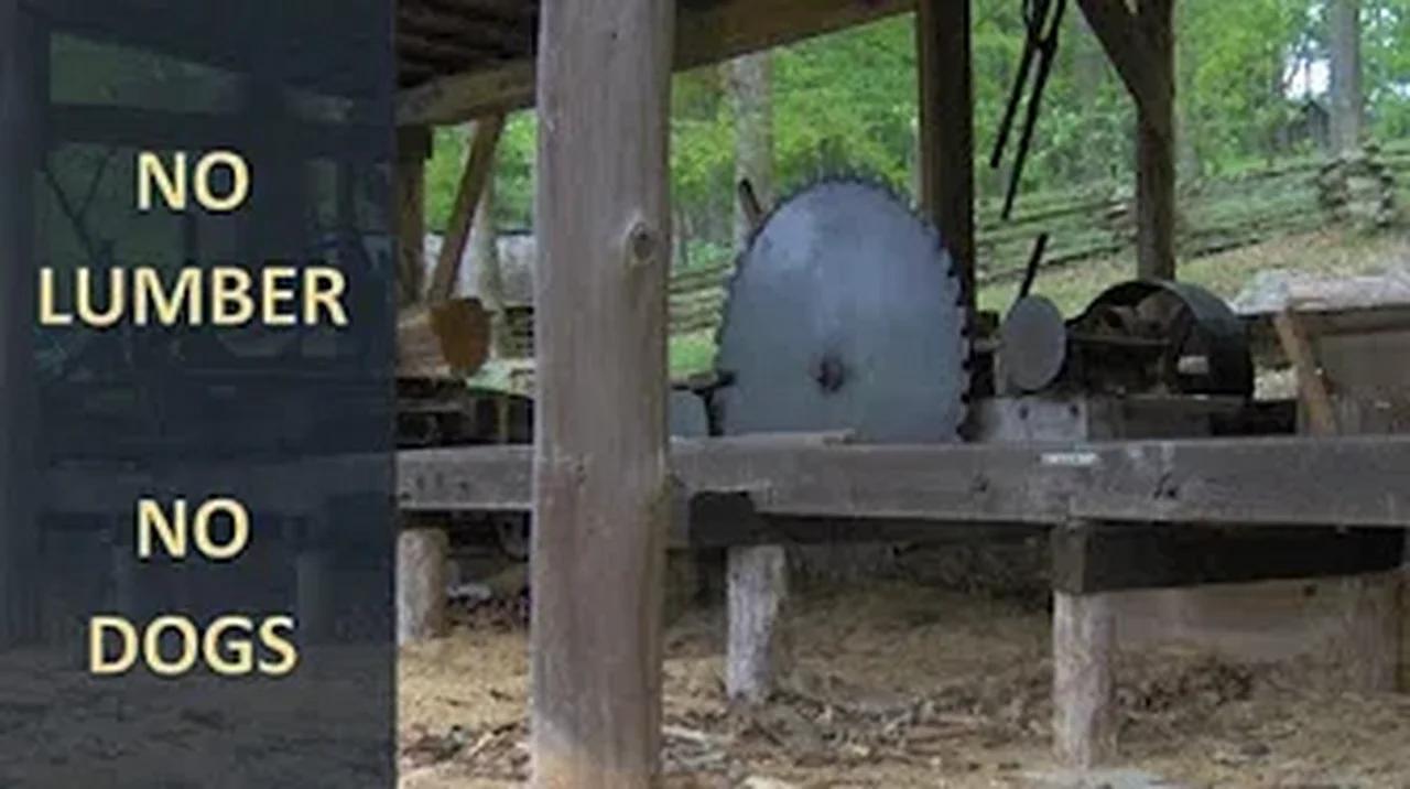 No Lumber USA, Turn in Your Dogs N. Korea: A Picture of the Future (1028)