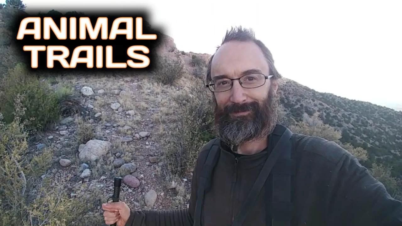 Animal Trails