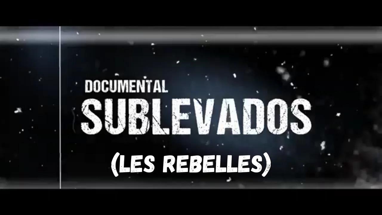Sublevados (Les Rebelles). Documental de Artistas y Técnicos por la ...