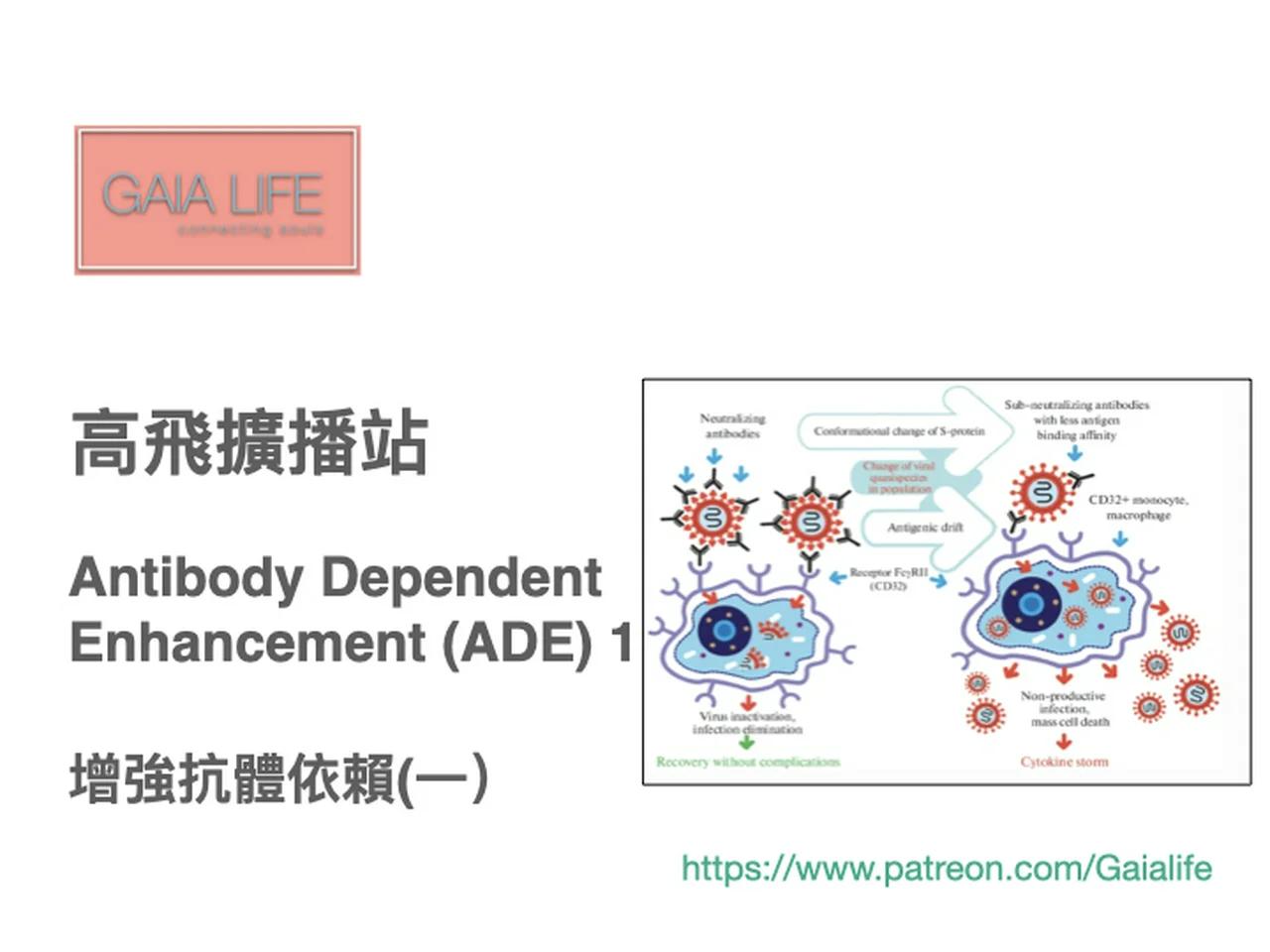高飛擴播站 ~Antibody Dependent Enhancement (ADE) 1 增強抗體依賴(一）