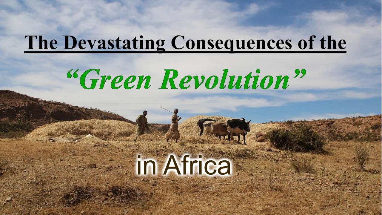 The Devastating Consequences of the “Green Revolution” in Africa | 03 ...