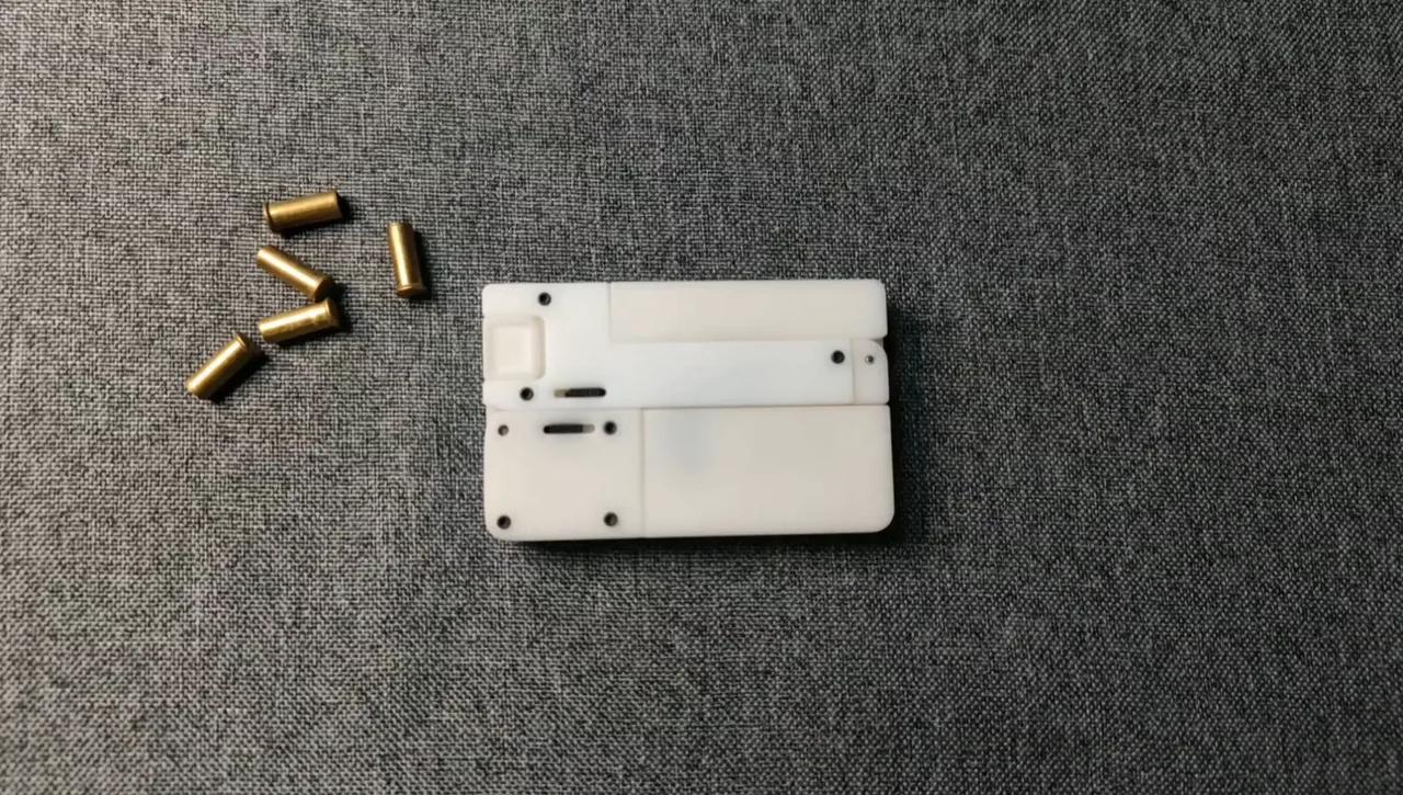 life card .22lr disassemble 3d printed pistol
