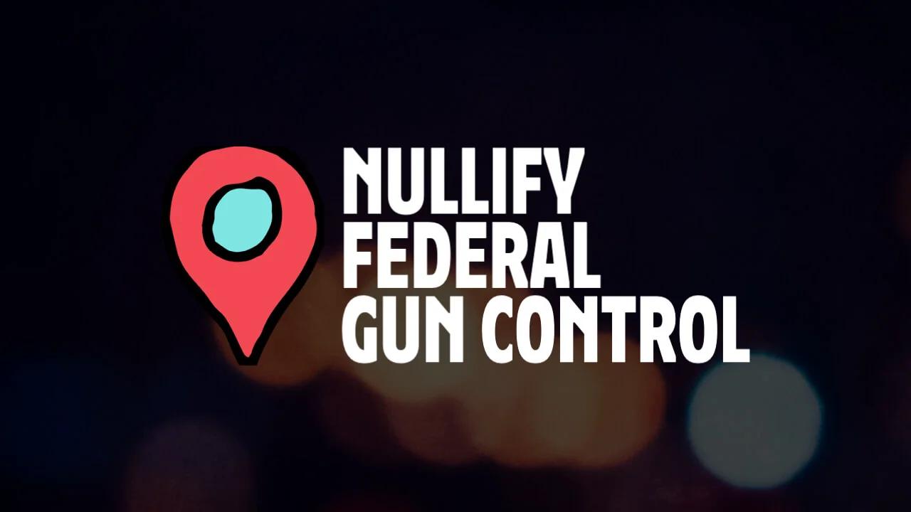 Nullify Federal Gun Control: Four States Get the Ball Rolling