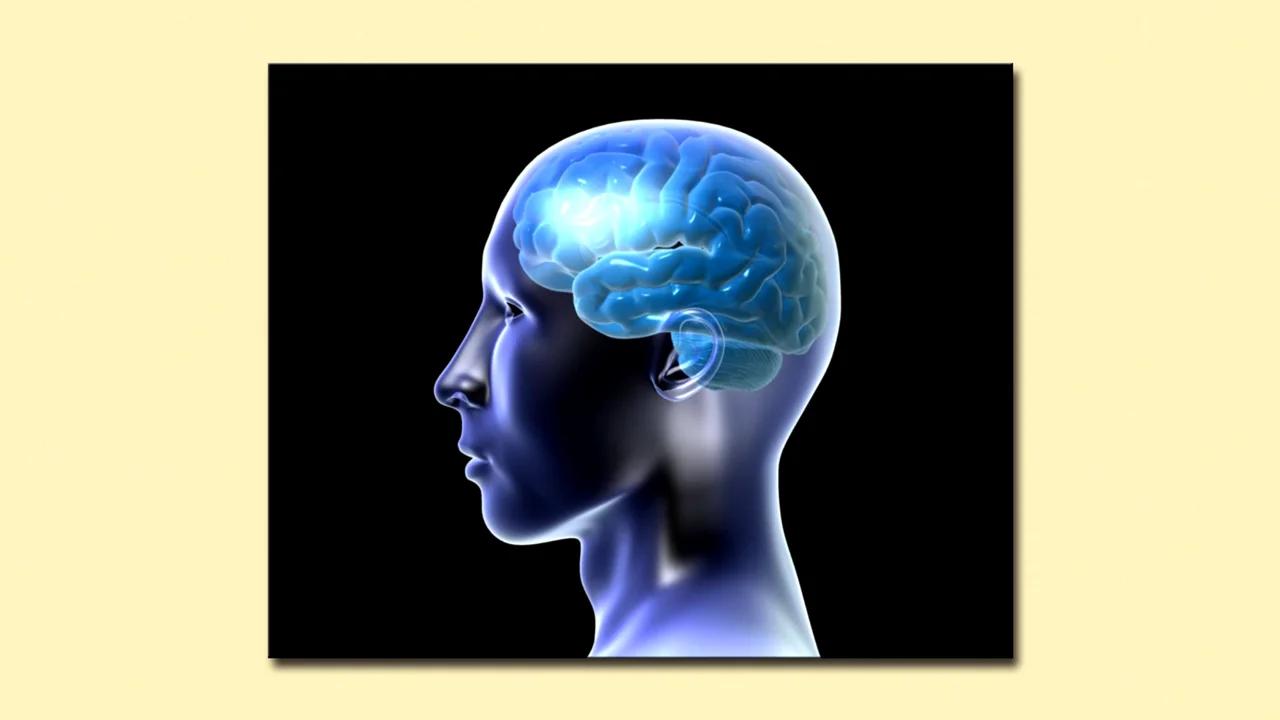 Race and Intelligence