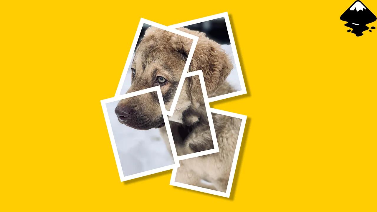 How to create a photo collage effect in Inkscape