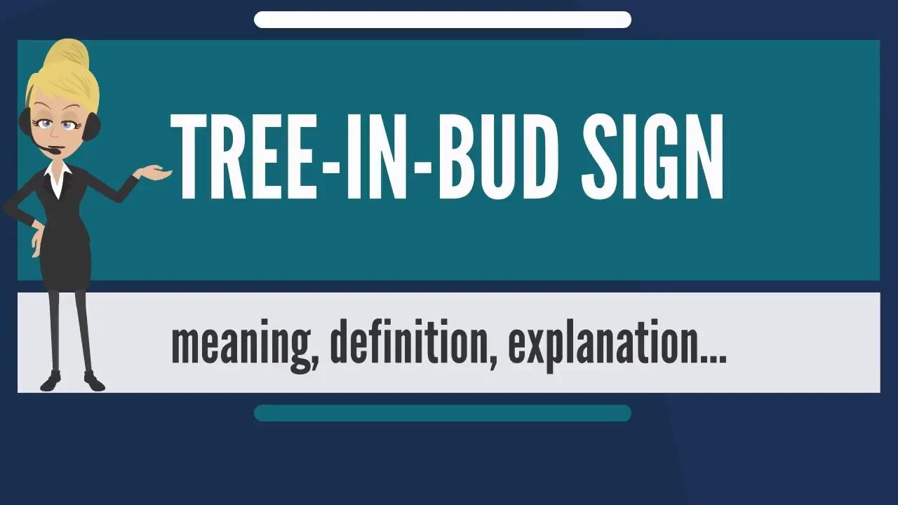 What is TREE-IN-BUD SIGN?