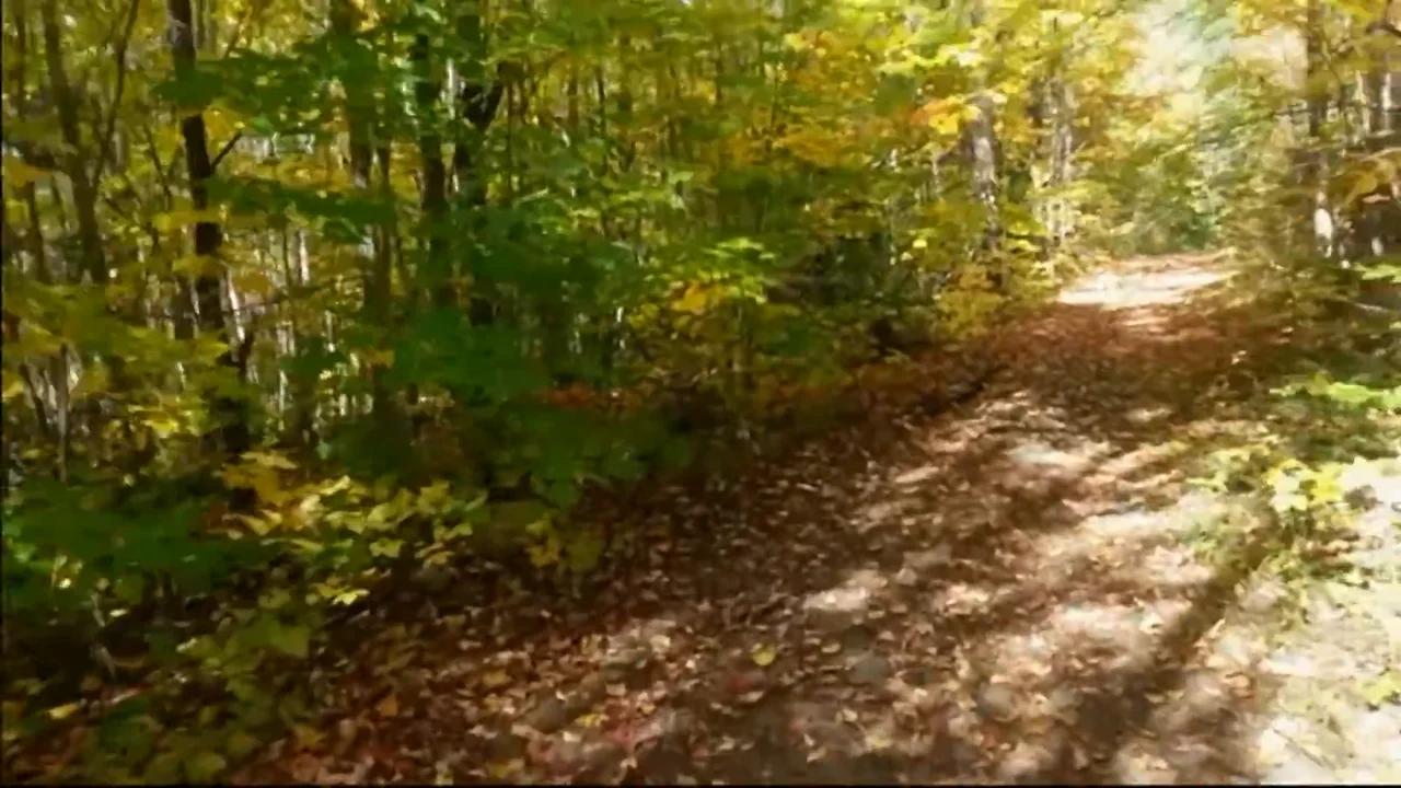 Maple Island to Camp on October 12th, 2016