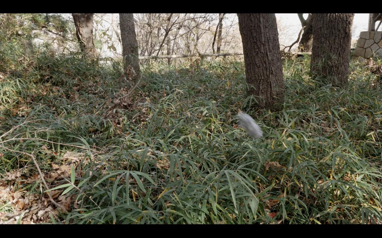 Killer-Sock Short film