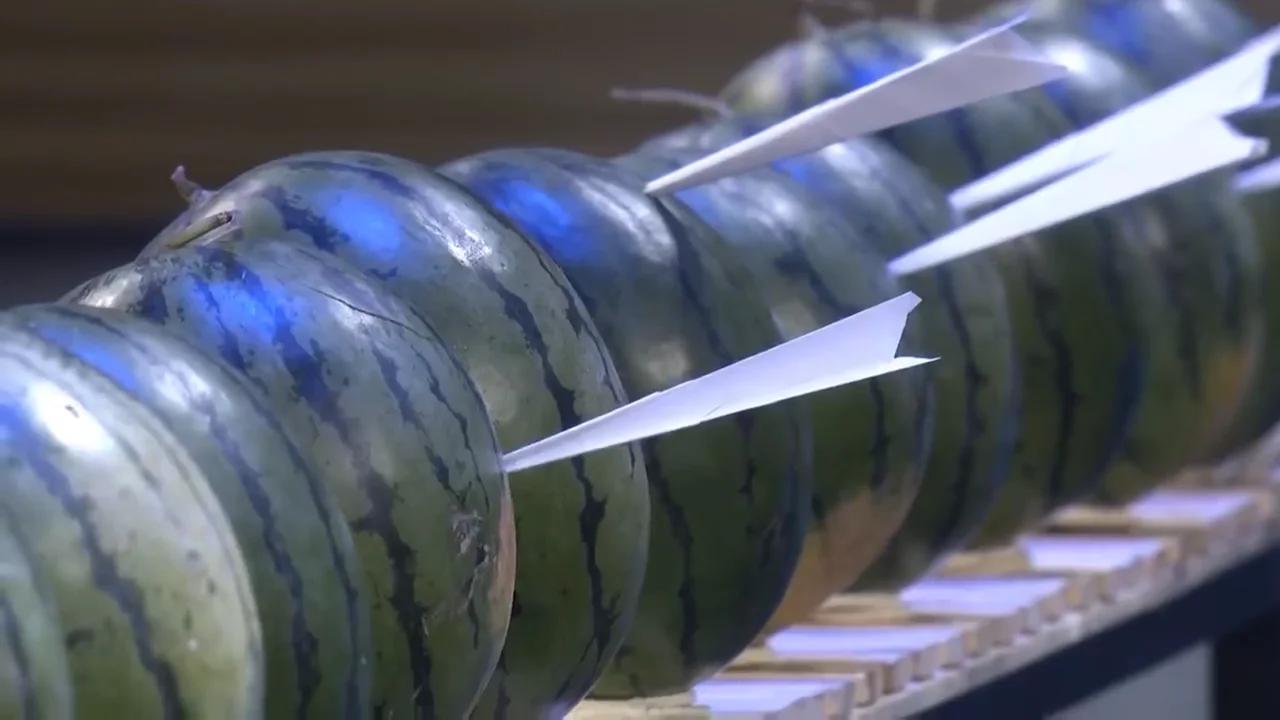 Paper airplanes into watermelons challenge - Guinness World Records