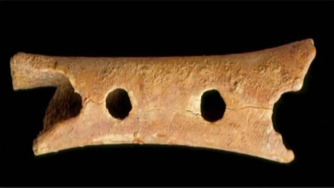 The oldest musical instrument in the world
