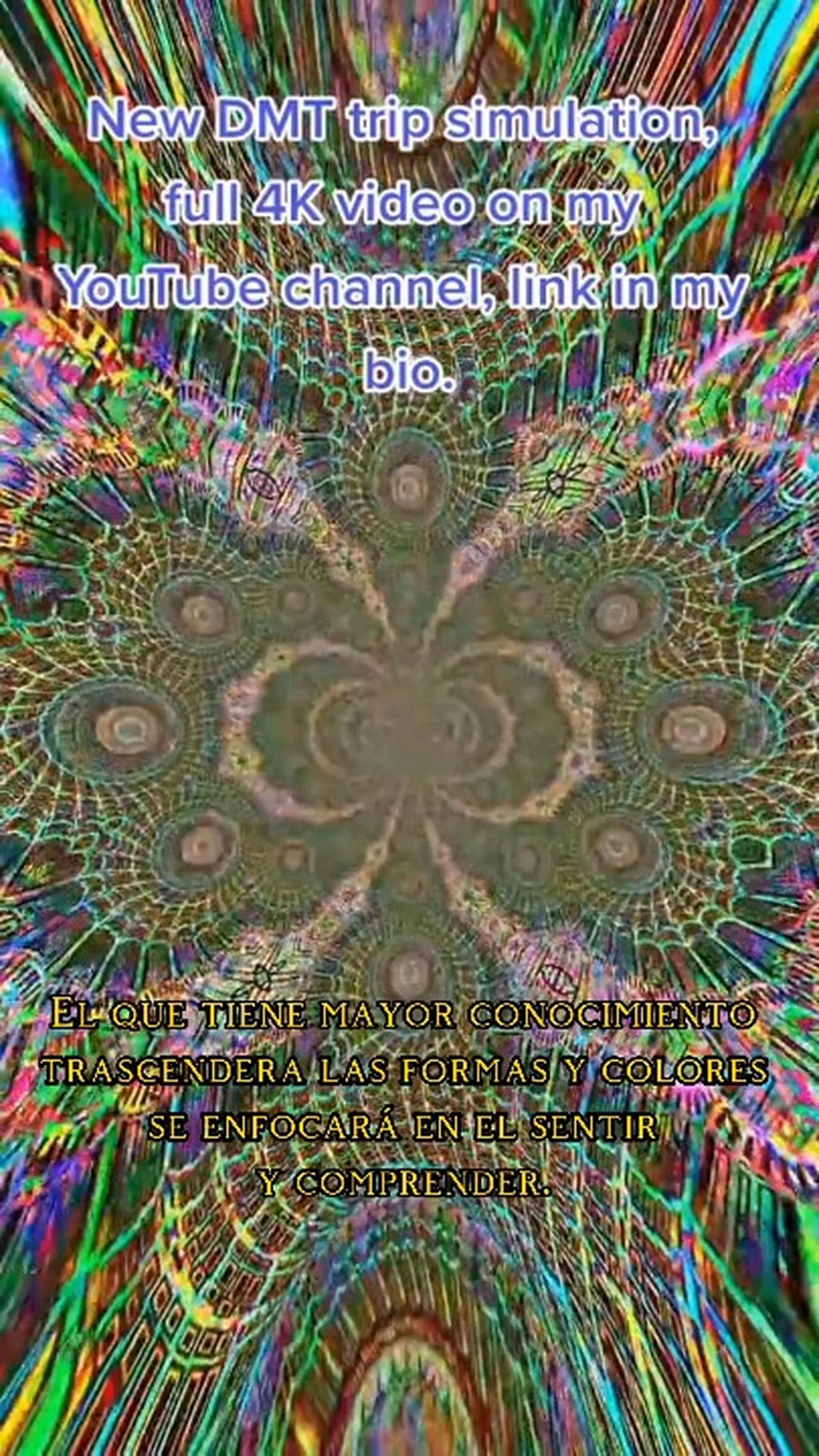 Simulator trip DMT Ayahuasca YoSoYhuasca
