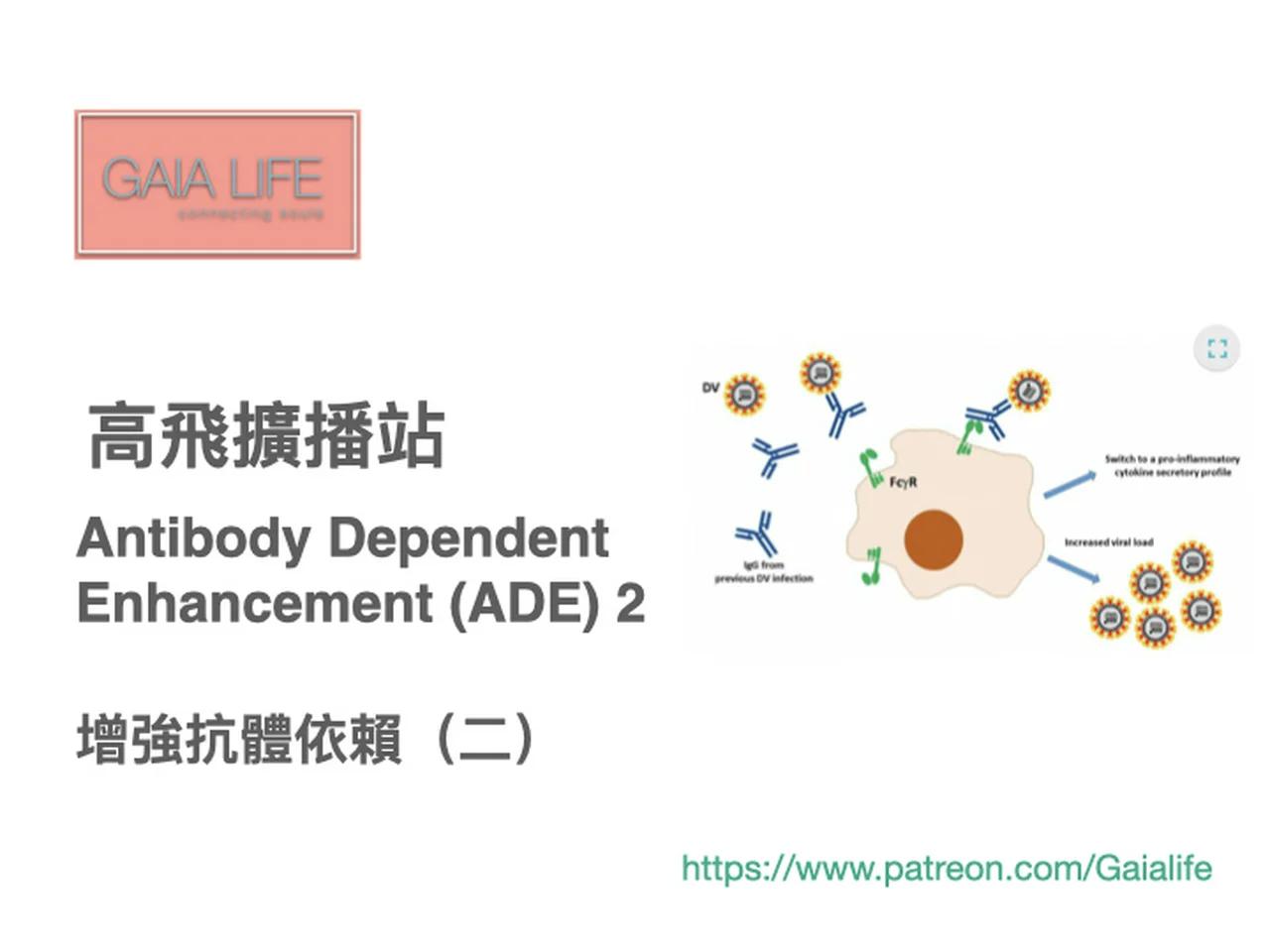 高飛擴播站 ~Antibody Dependent Enhancement (ADE) 2 增強抗體依賴（二）