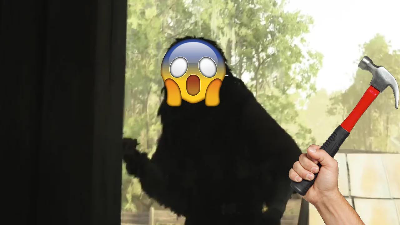 Hammer + face in slowmotion