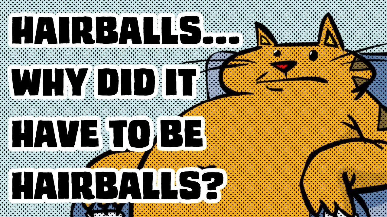 Hairballs... Why did it have to be hairballs?