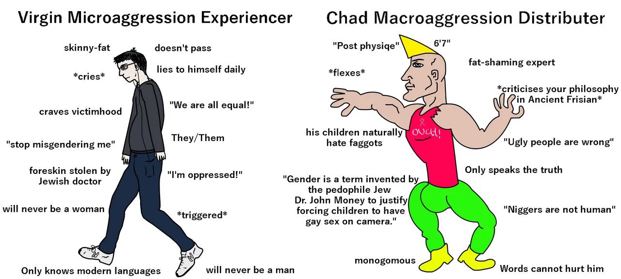 Virgin Microaggression Experiencer vs Chad Macroaggression Distributer