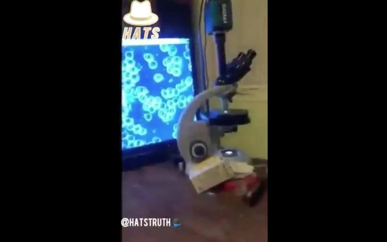 Hatstruth - Graphene Oxide Under The Microscope