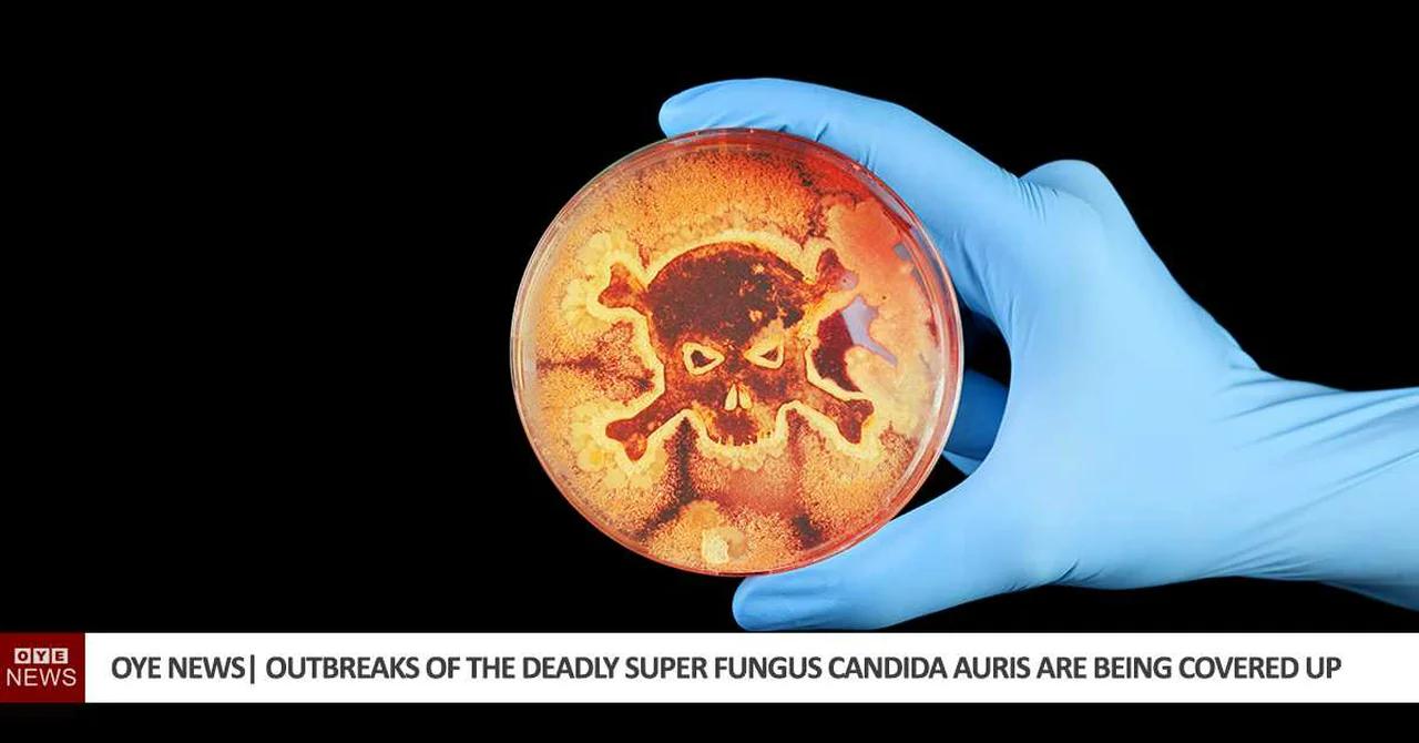 Outbreaks of the Deadly Super Fungus Candida Auris are Being Covered Up