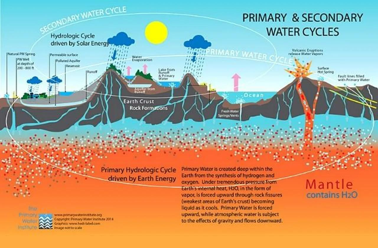 [VOSTFR] L'eau primaire / Primary water, entretien avec Pal Pauer