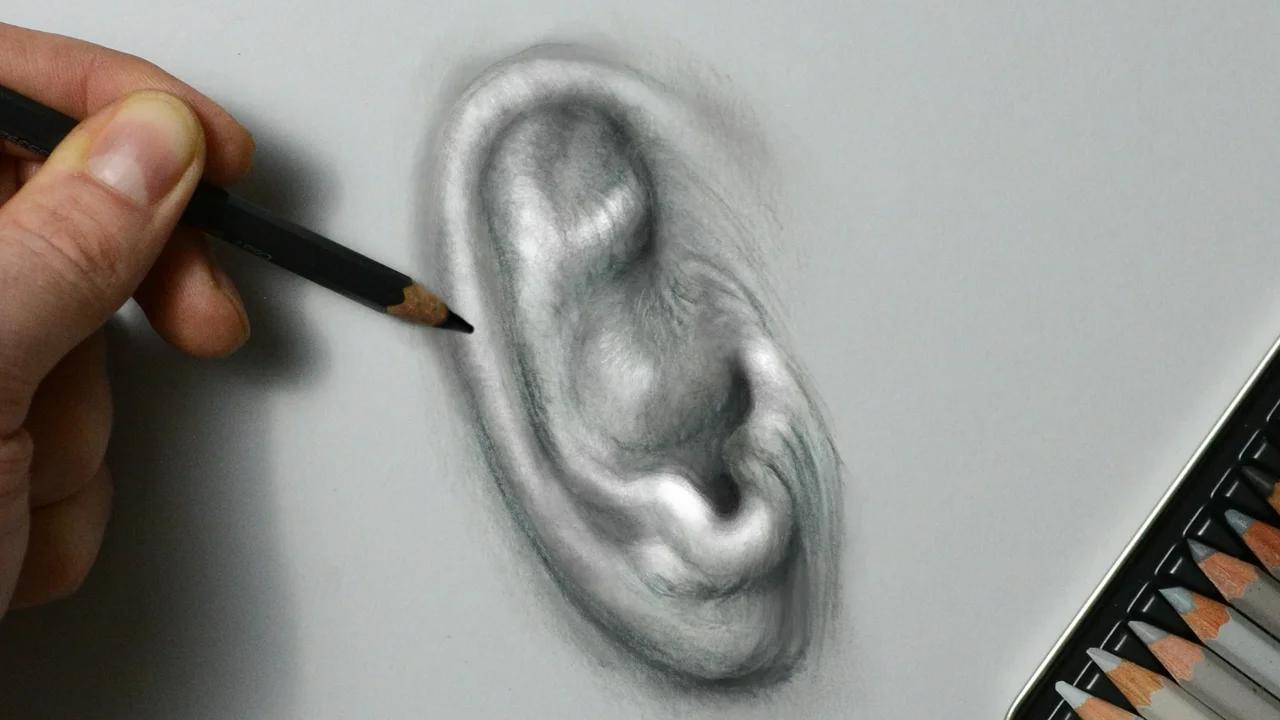 How to Draw Ear in 15 minutes