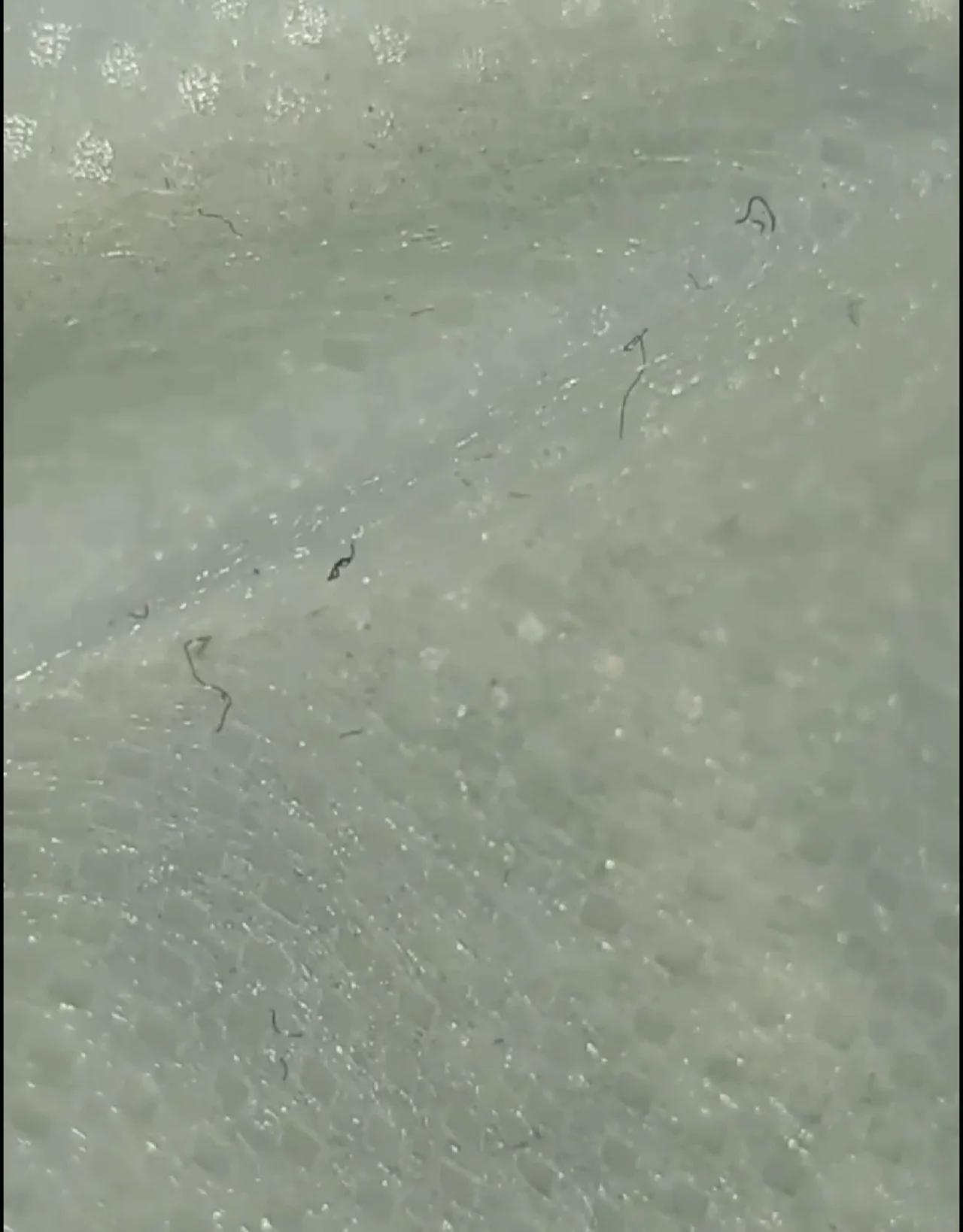 Masks Respirator Tests Morgellons Parasites part 7 - Rousky Respiratory ...