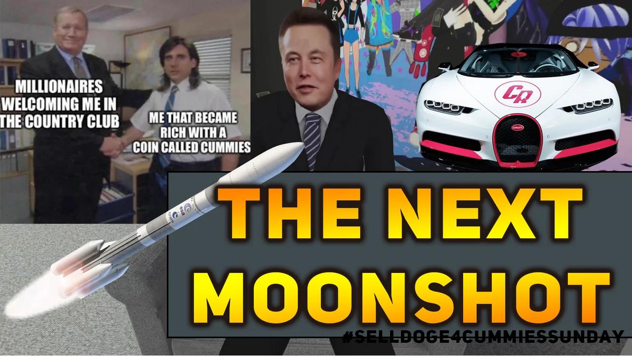 ELON MUSK'S NEW MOONSHOT TOKEN. x10-x50 OUTPERFORMING CAKE