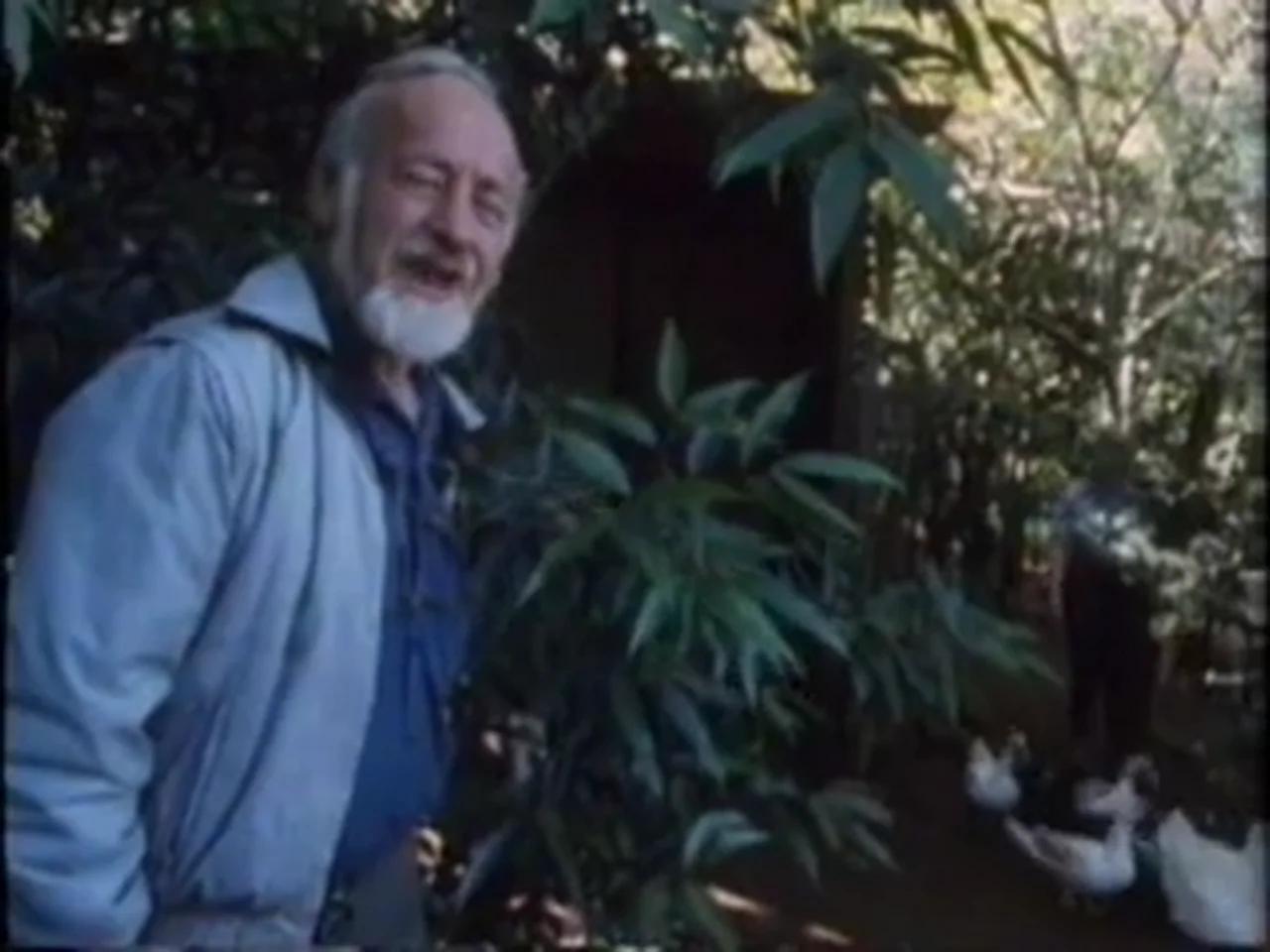 In Grave Danger of Falling Food - Bill Mollinson