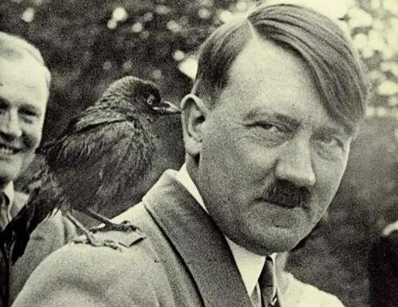 Animal Rights In The Third Reich