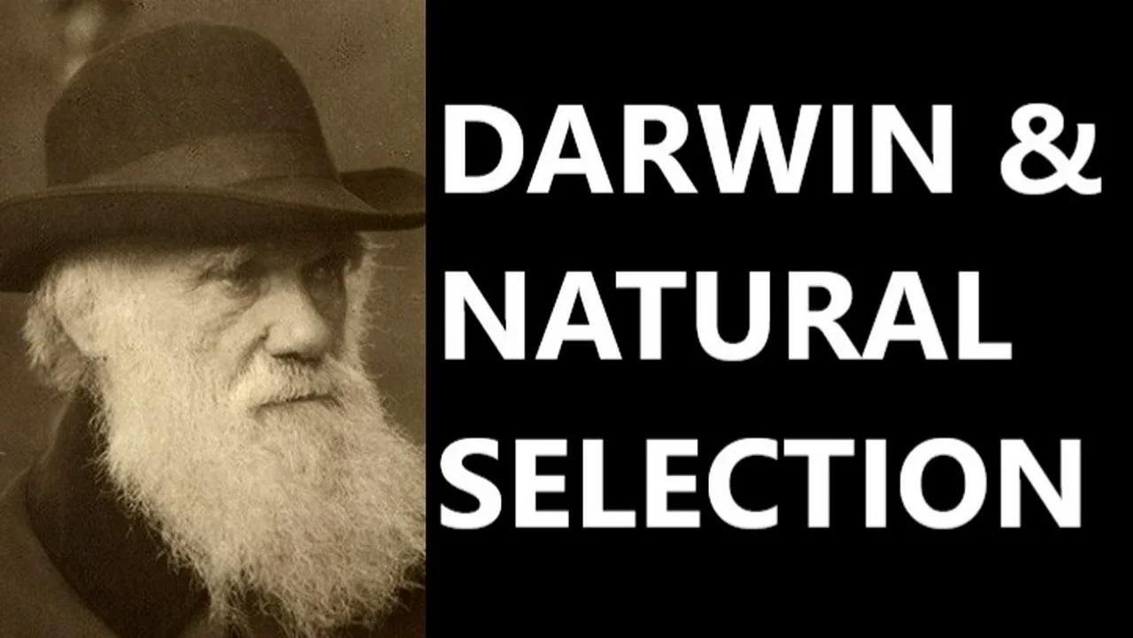 Charles Darwin & Natural Selection (Reupload)