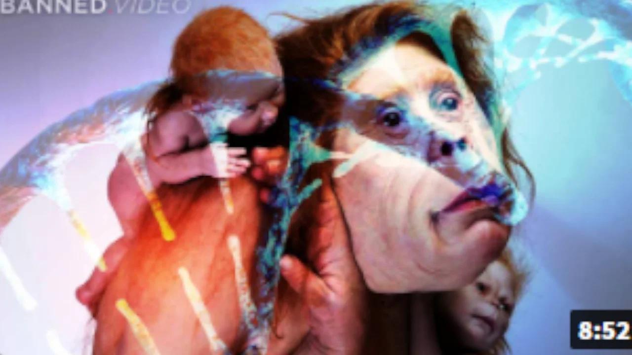 Were Human-Animal Hybrids Approved By The U.S. Senate?