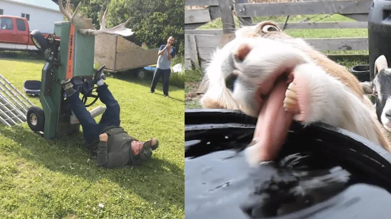 Funny Farm Tractor Fails Compilation
