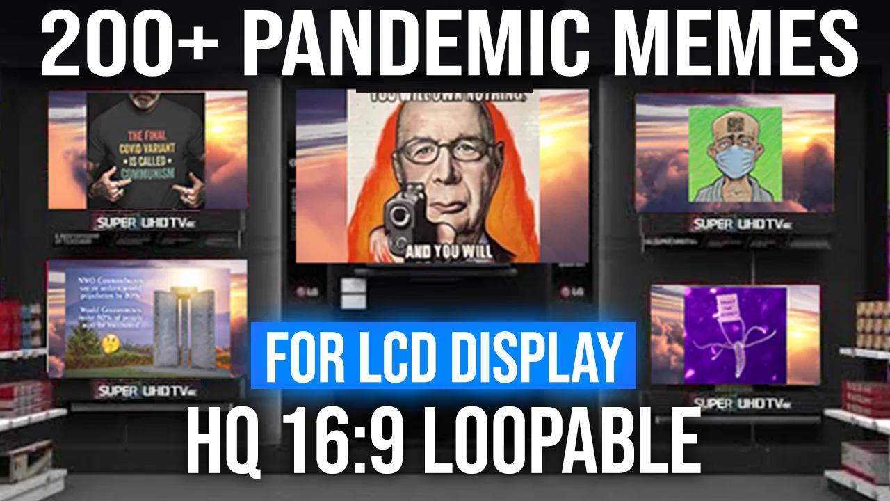 200+ Pandemic Meme Slideshow : LCD Display Ready 16:9 : Loopable ...