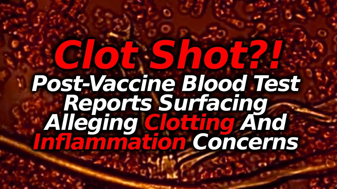 #ClotShot? New Vaxxed Blood Reports Allege Red Flags With Blood Clot ...