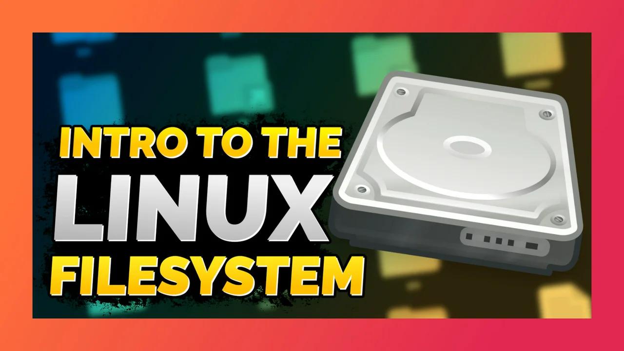 The Linux File System Explained!