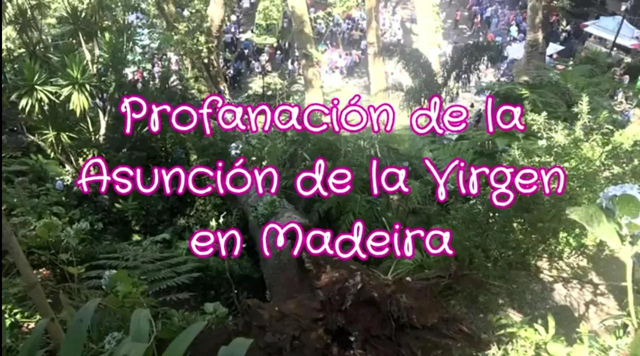 Profanación de la Asunción de la Virgen en Madeira