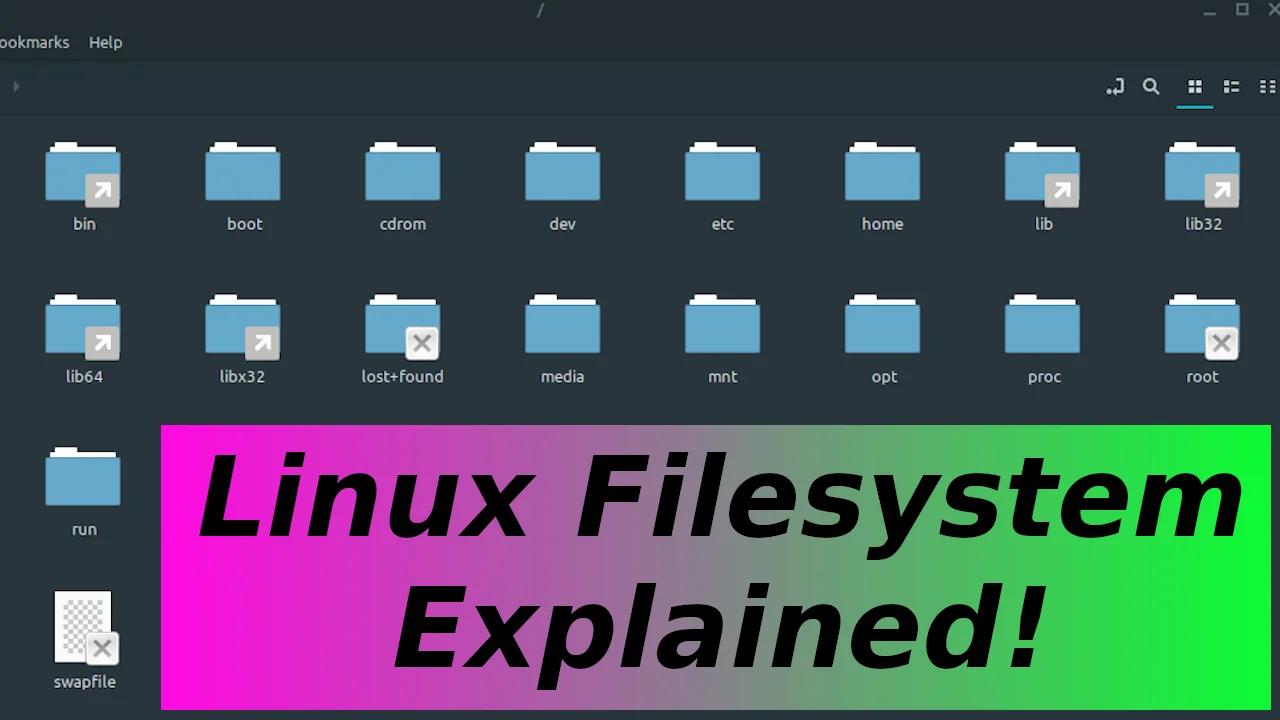 The Linux File System Explained!