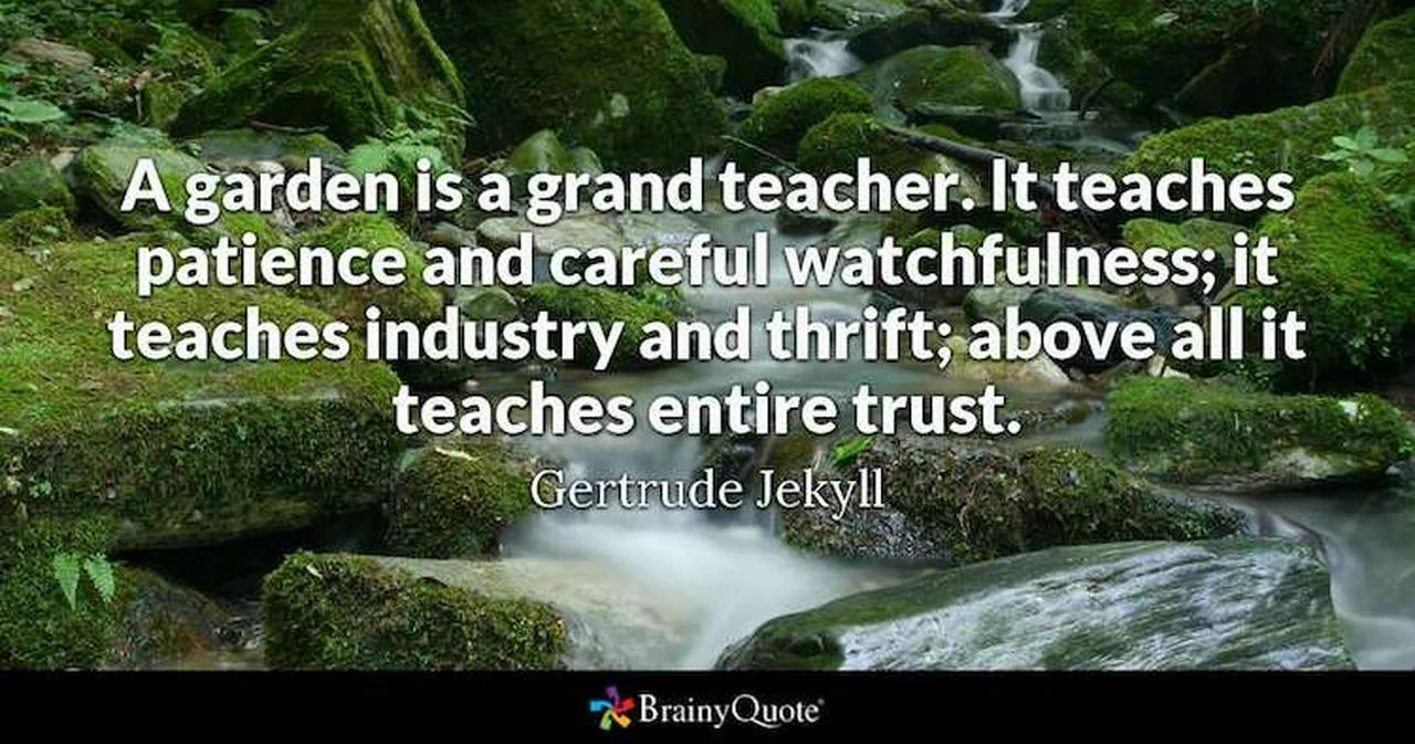 From Lawn to Garden the Easy & Lazy Way – Miyagi Mornings Epi-144