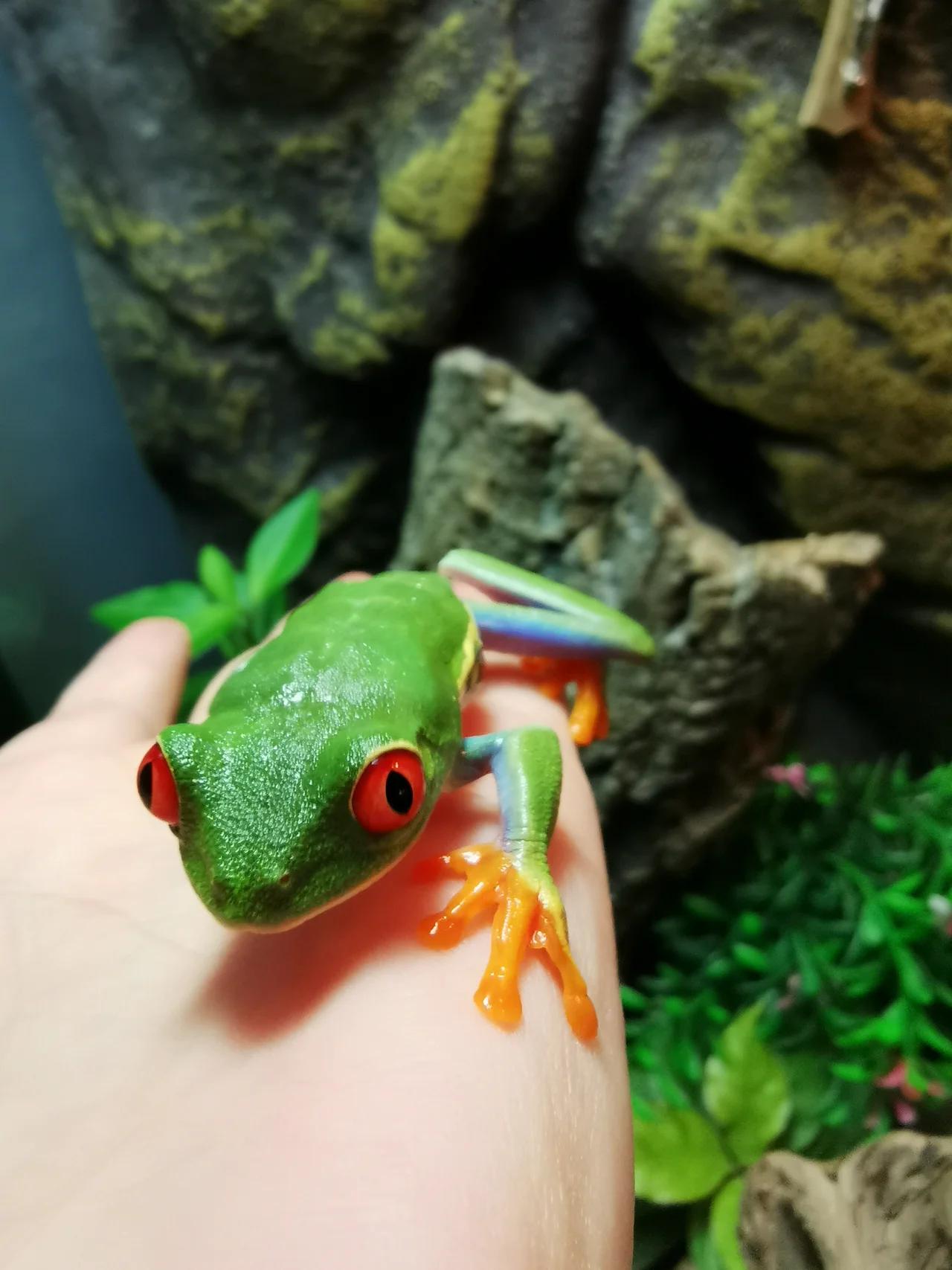 La vérité rend libre.