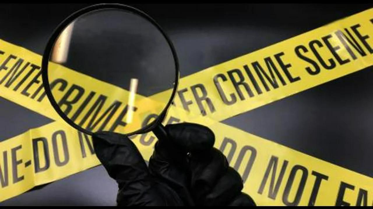 What a Single Crime Can Teach Us