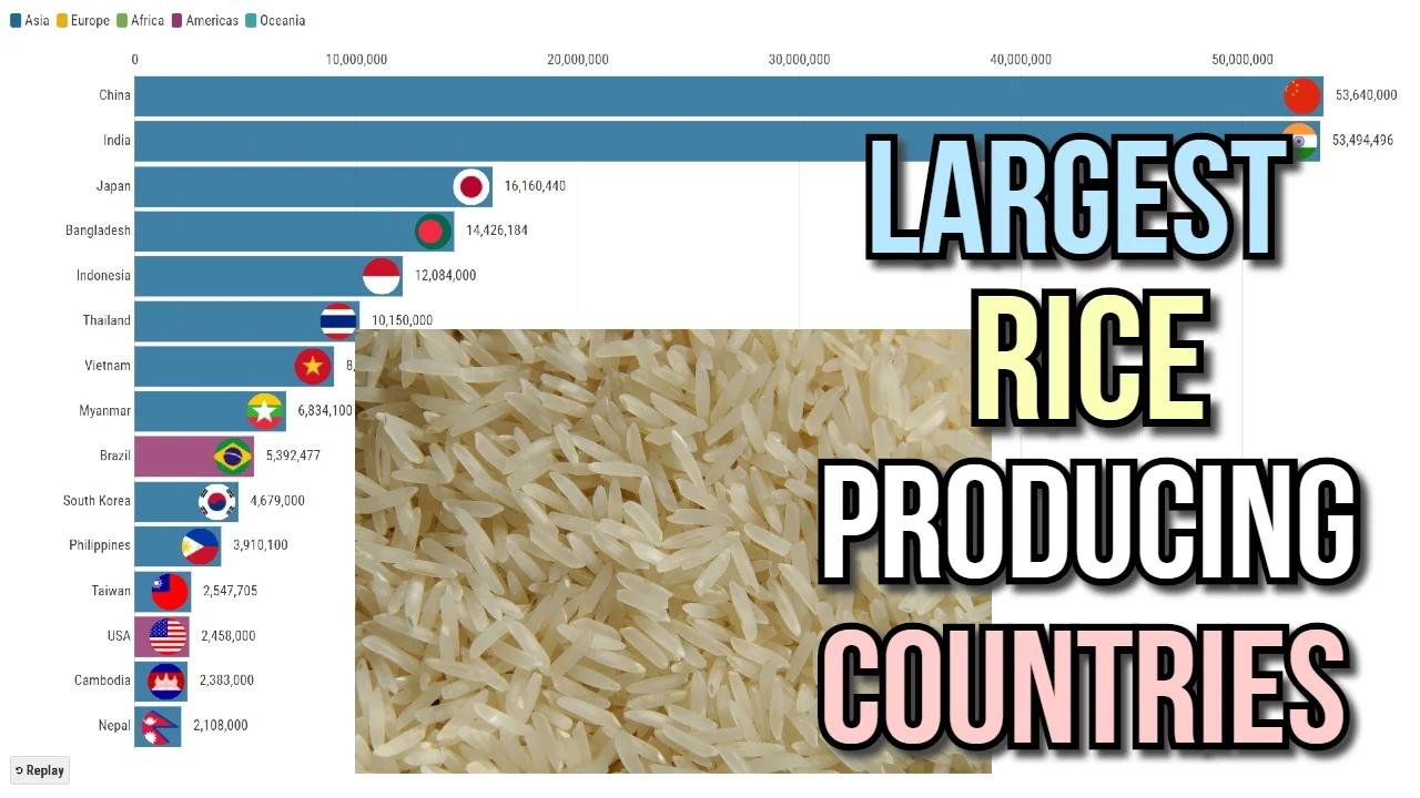 Largest rice producing countries