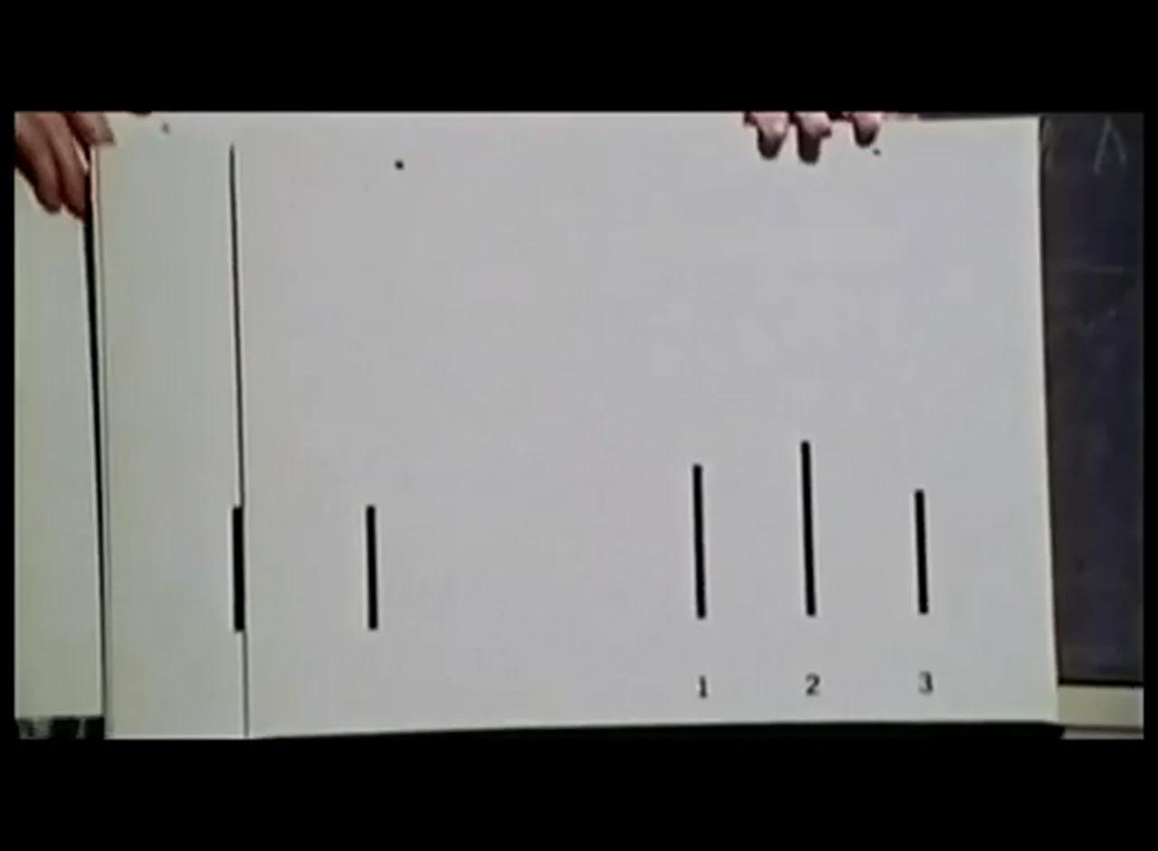 Solomon Asch Conformity Experiment